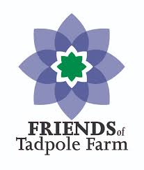 School Community, Tadpole Farm CE Primary School